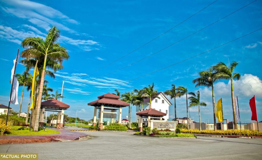 Antel Land - Projects